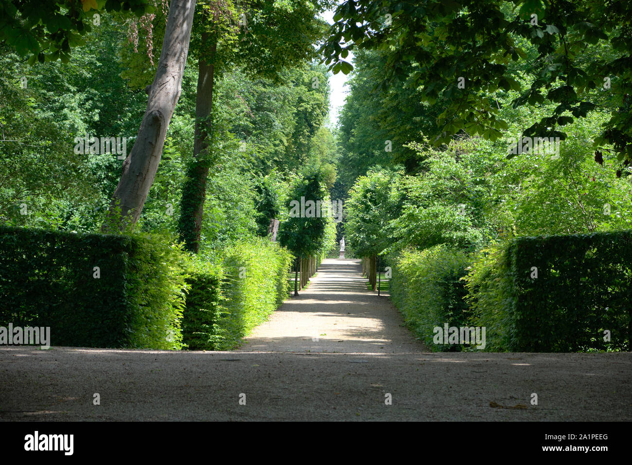 Path with Hedges Stock Photo - Alamy