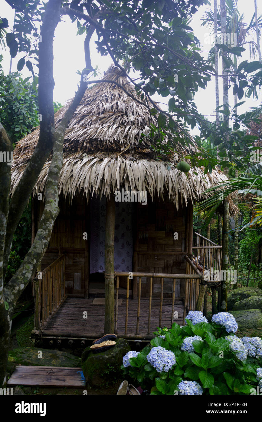 Tropical straw roof hut hi-res stock photography and images - Alamy