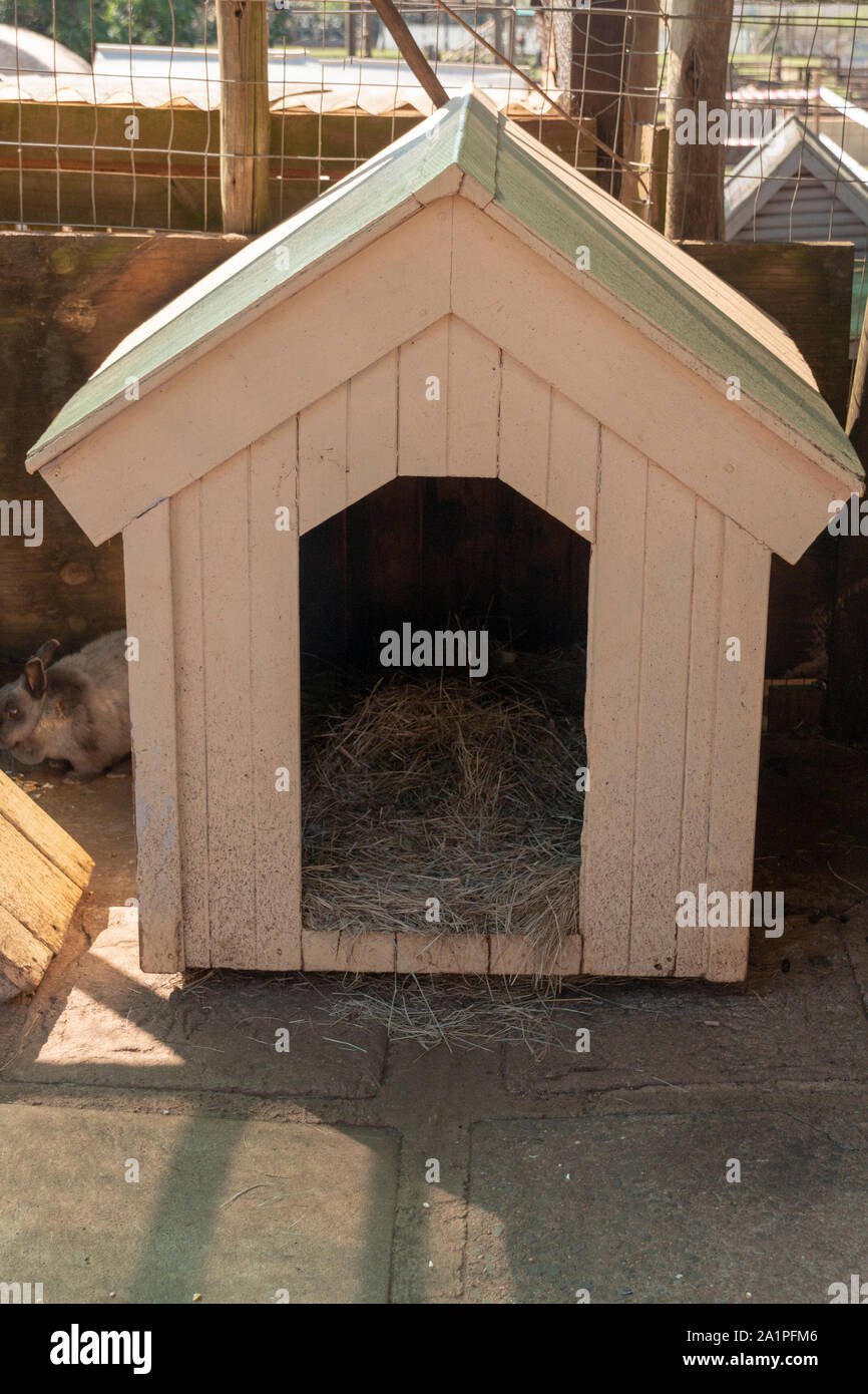 Mass of feathers hi-res stock photography and images - Alamy