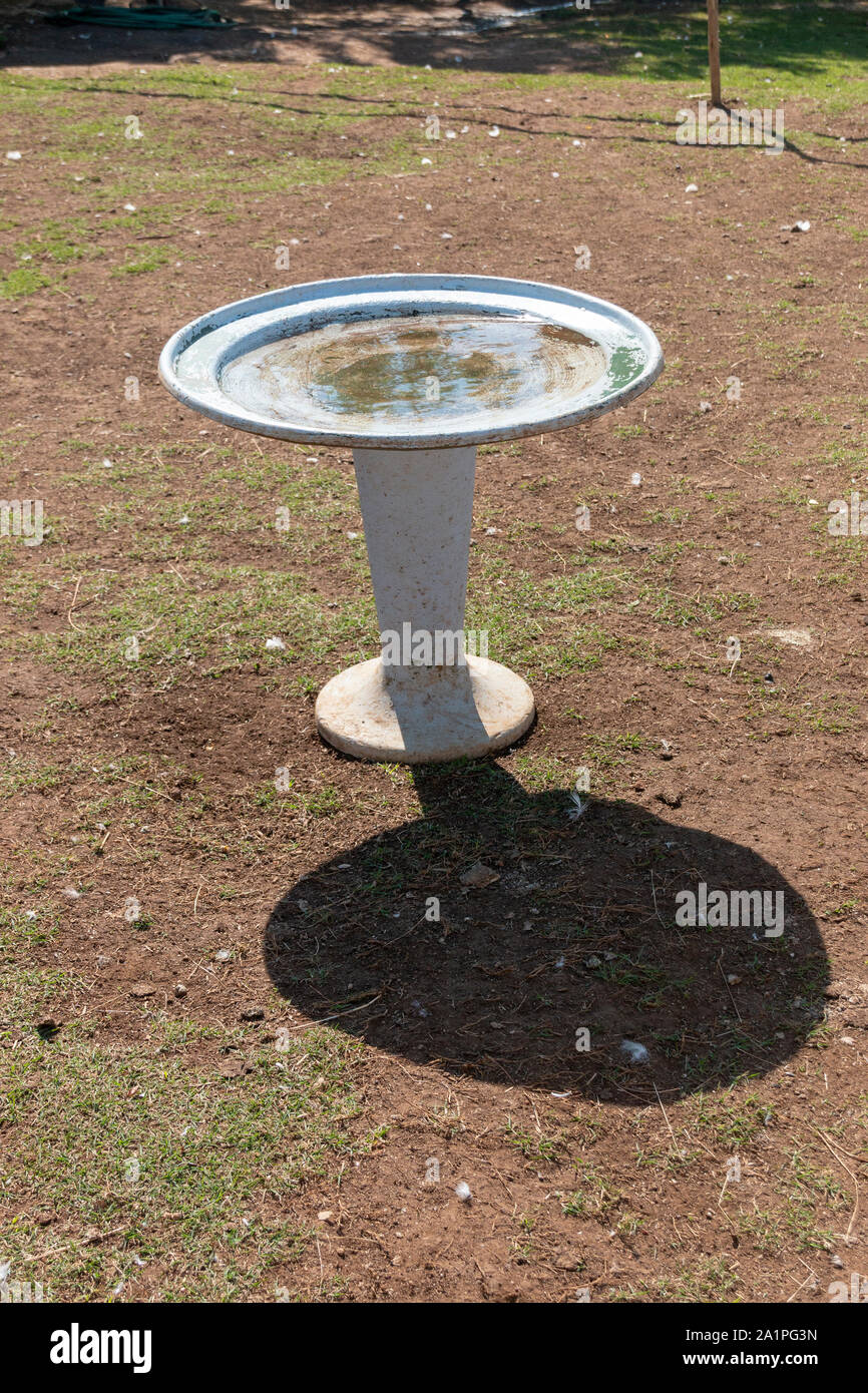 A close up view of a white bird bath outside in the summer sun Stock ...