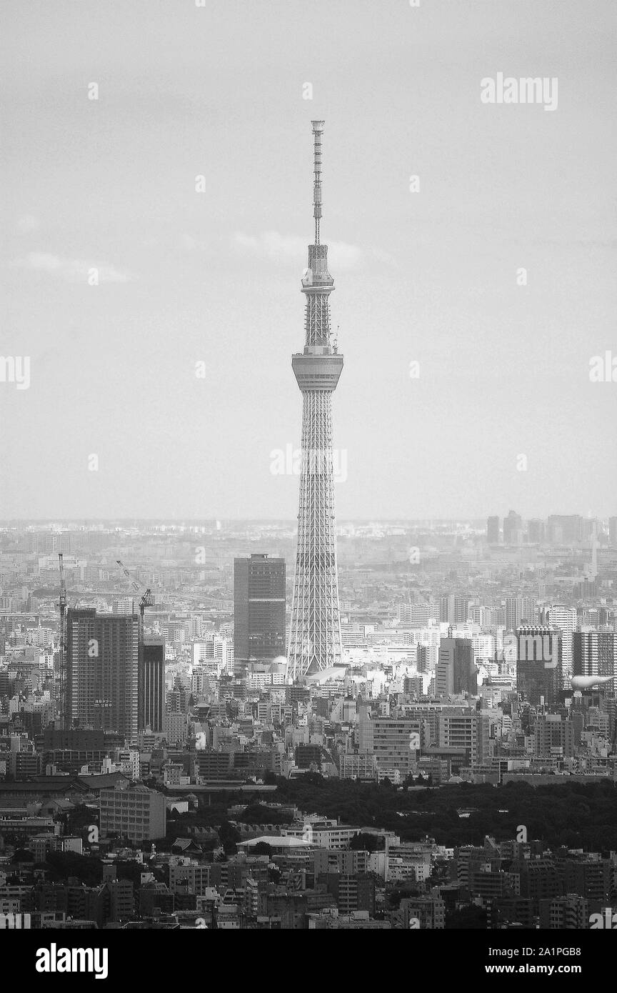 Tokyo night view Black and White Stock Photos & Images - Alamy