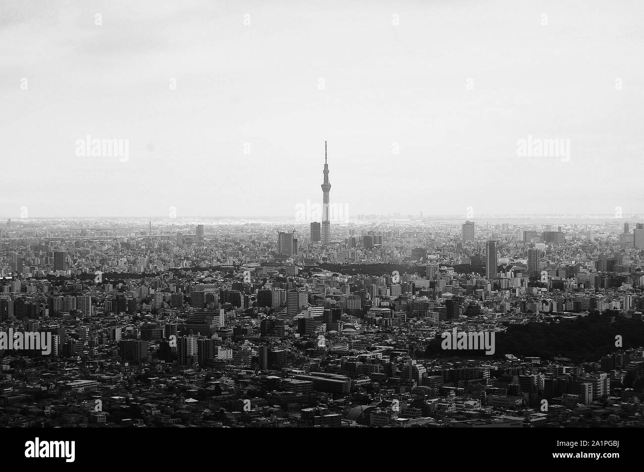 Tokyo tower view Black and White Stock Photos & Images - Alamy