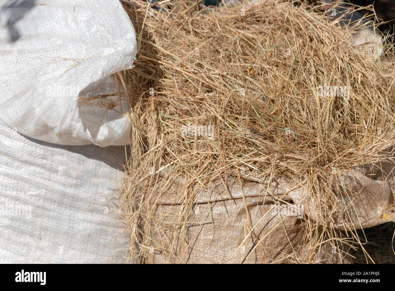 A close up view of hay in white plastic bags Stock Photo - Alamy