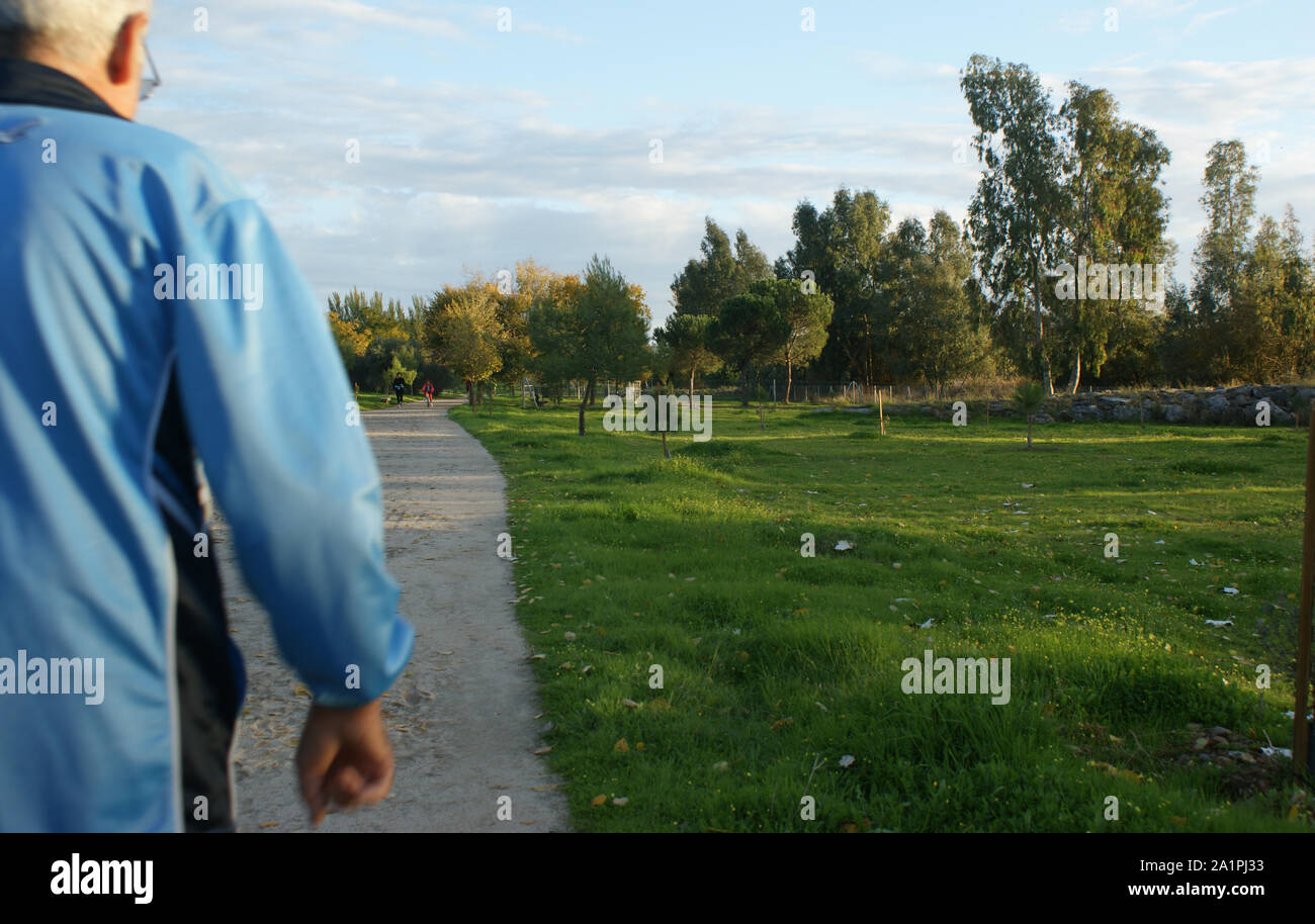 People walking in a park at sunset Stock Photo - Alamy