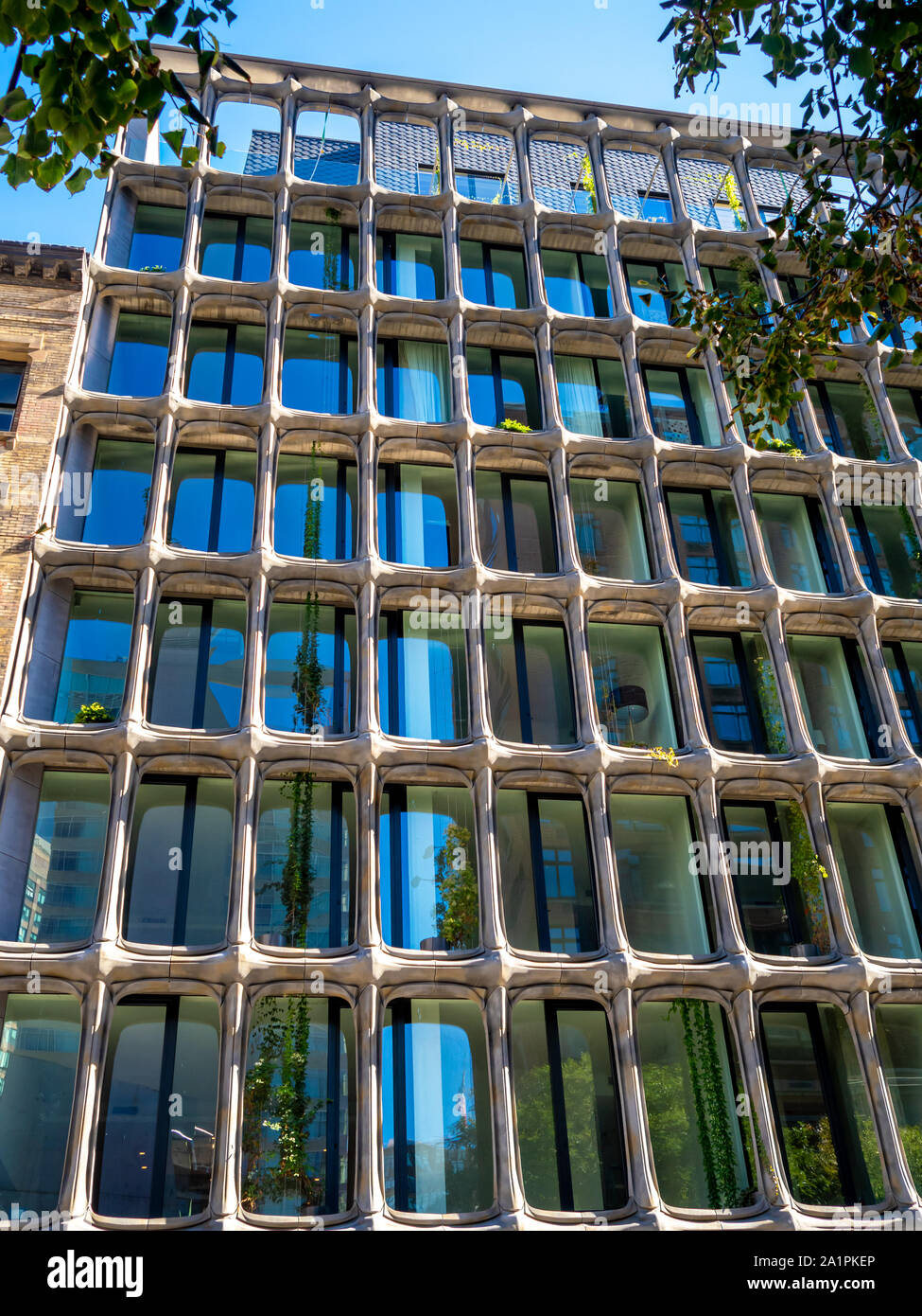 one of a kind architecture artistic building facade in downtown ...