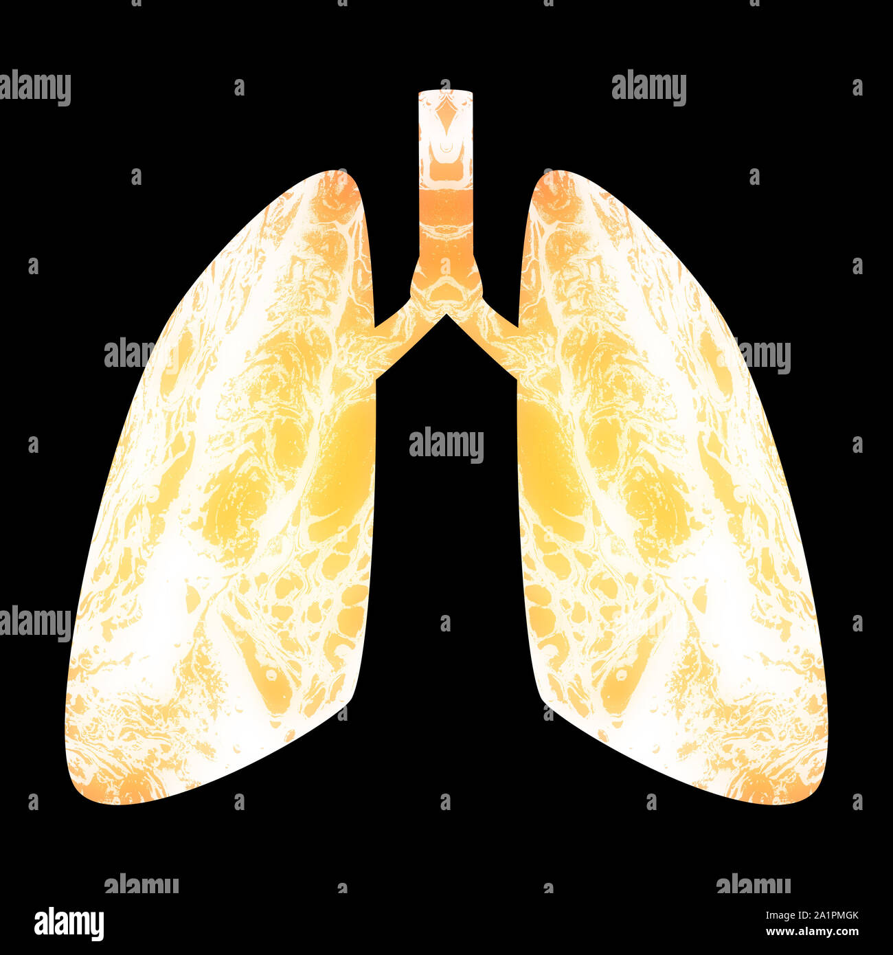 Silhouette of abstract human lungs with grunge marble texture Stock ...
