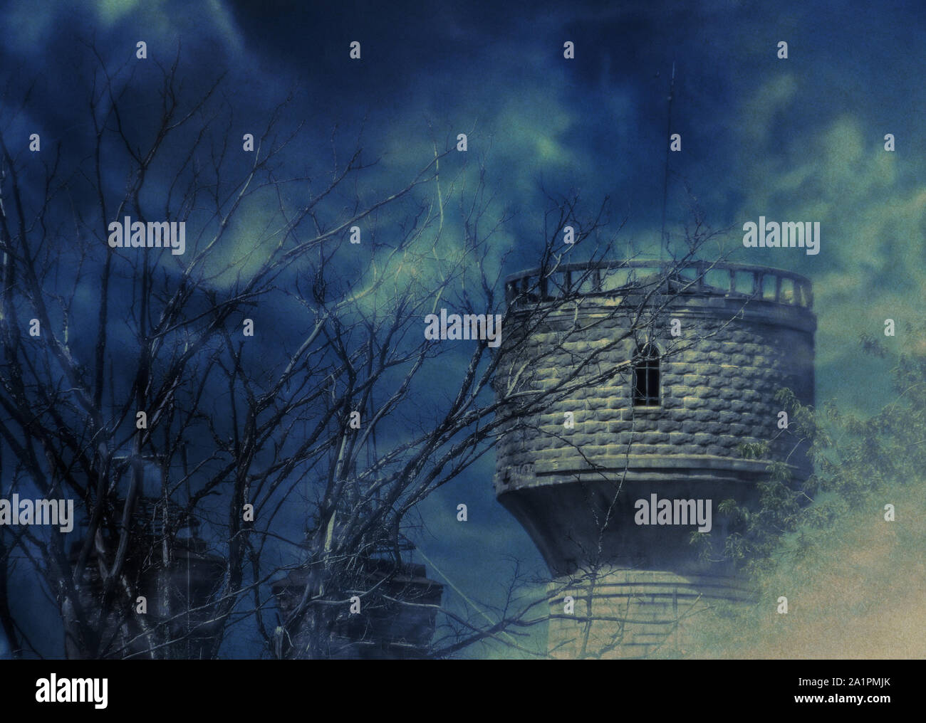 Dark old spooky tower and crooked tree branches at foggy night, photo ...