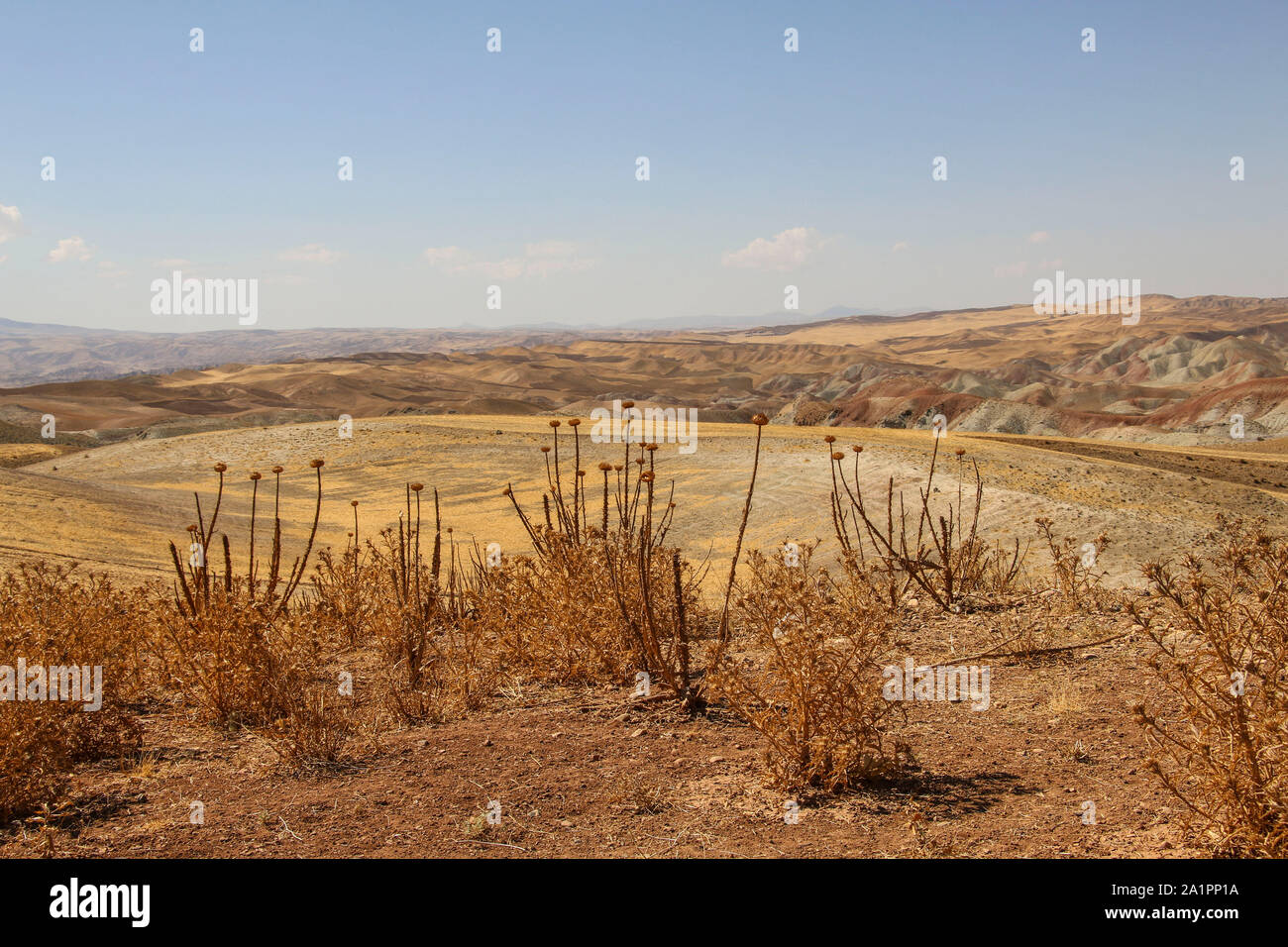 Beautiful landscape similar to eastern spices on the way to the side in ...