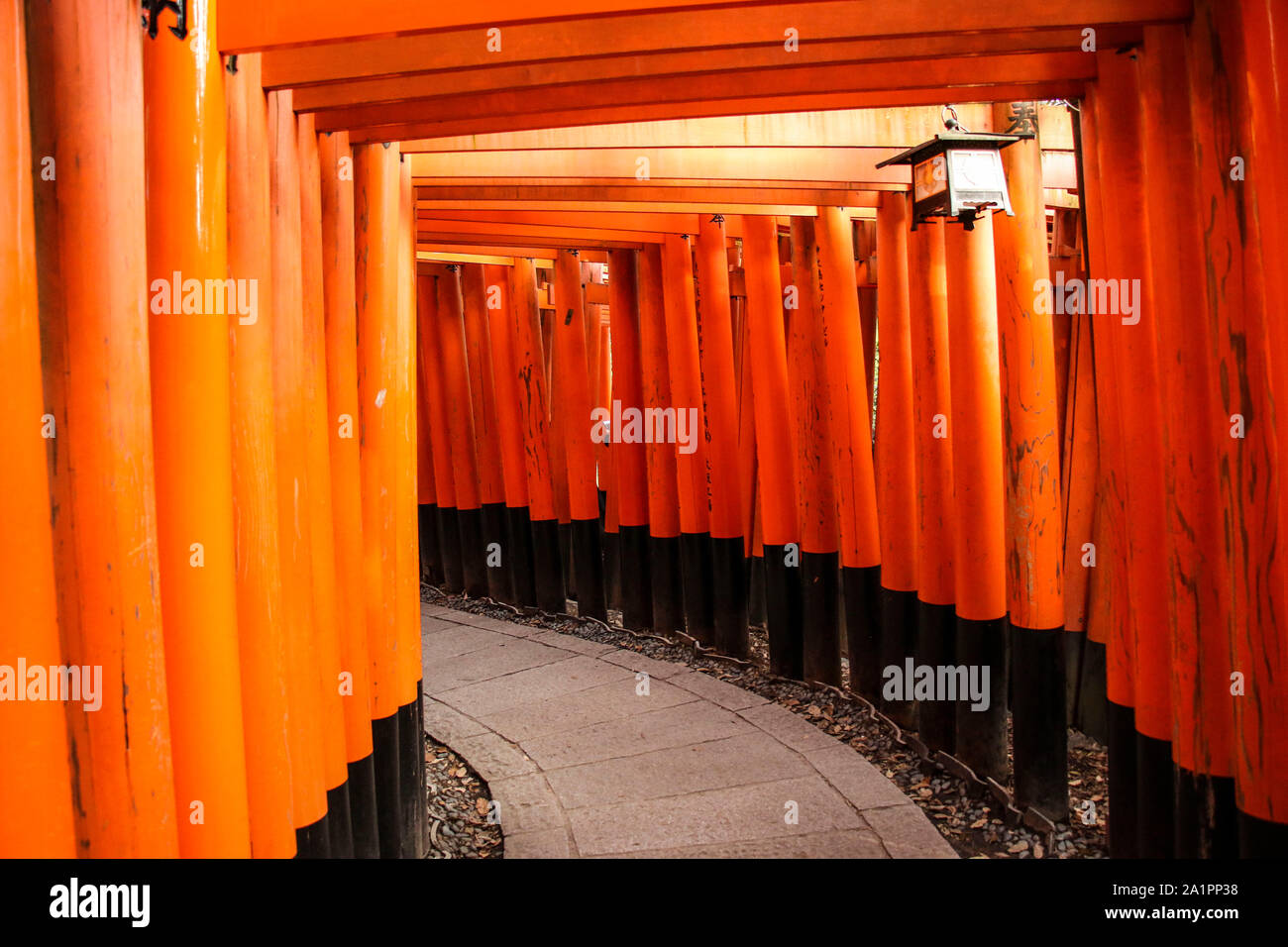 Red Torii gates in Fushimi Inari shrine in Kyoto, Japan Stock Photo - Alamy