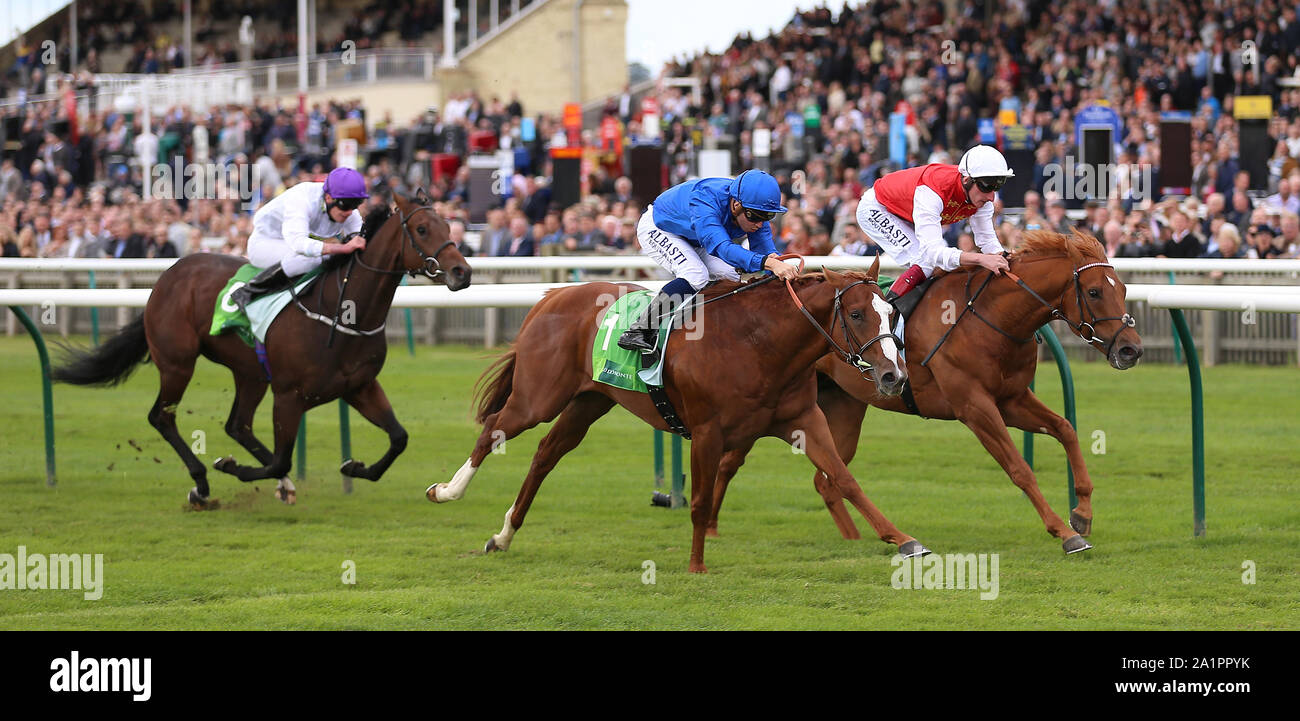 Earthlight horse hi-res stock photography and images - Alamy