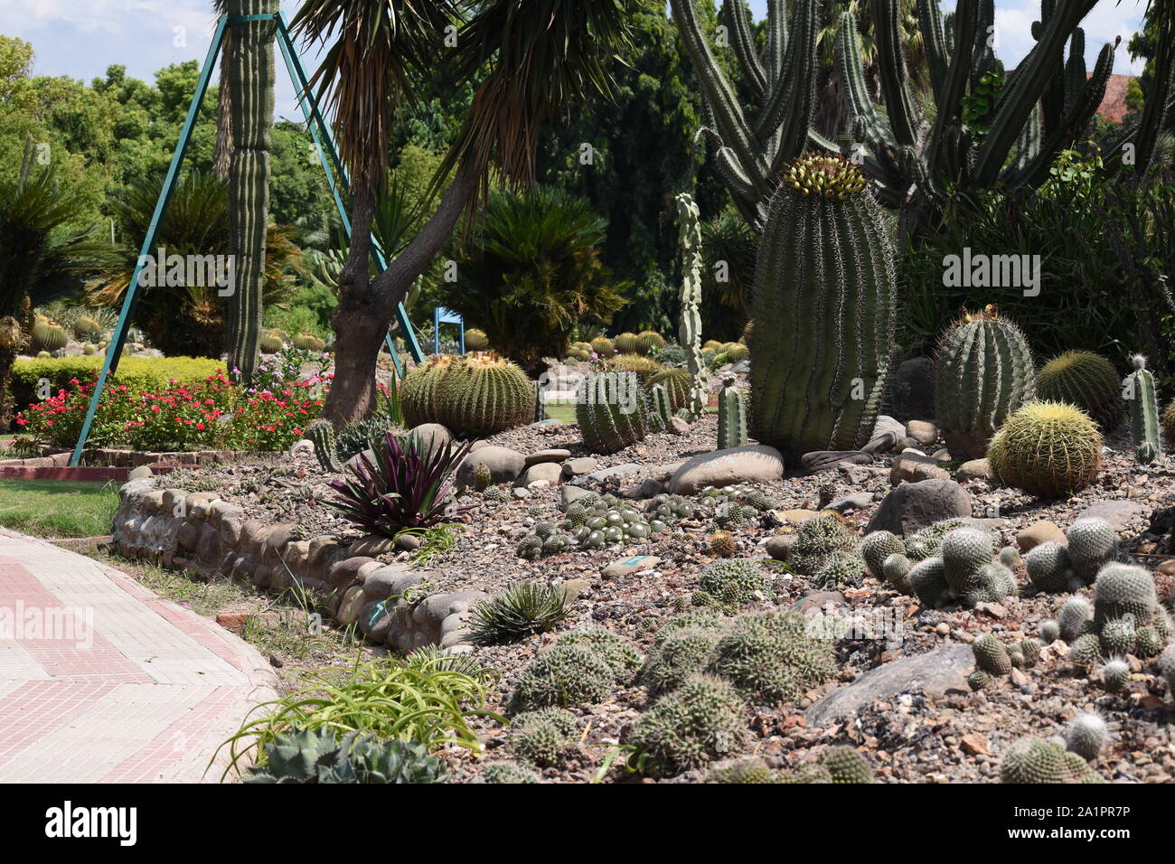 Various tree types hi-res stock photography and images - Alamy