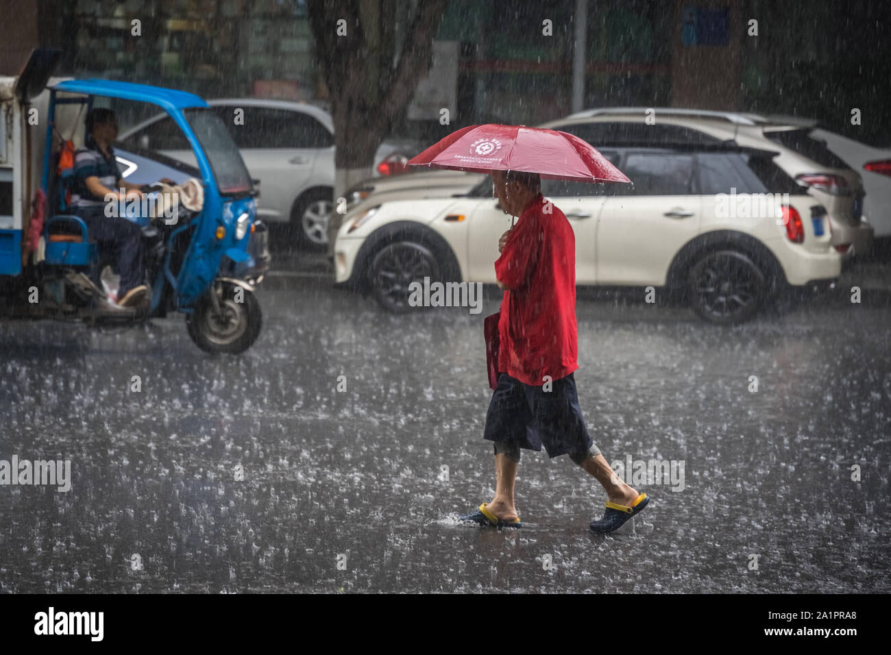 Chengdu, China - July 2019 : Chinese man with red umbrella crossingthe ...
