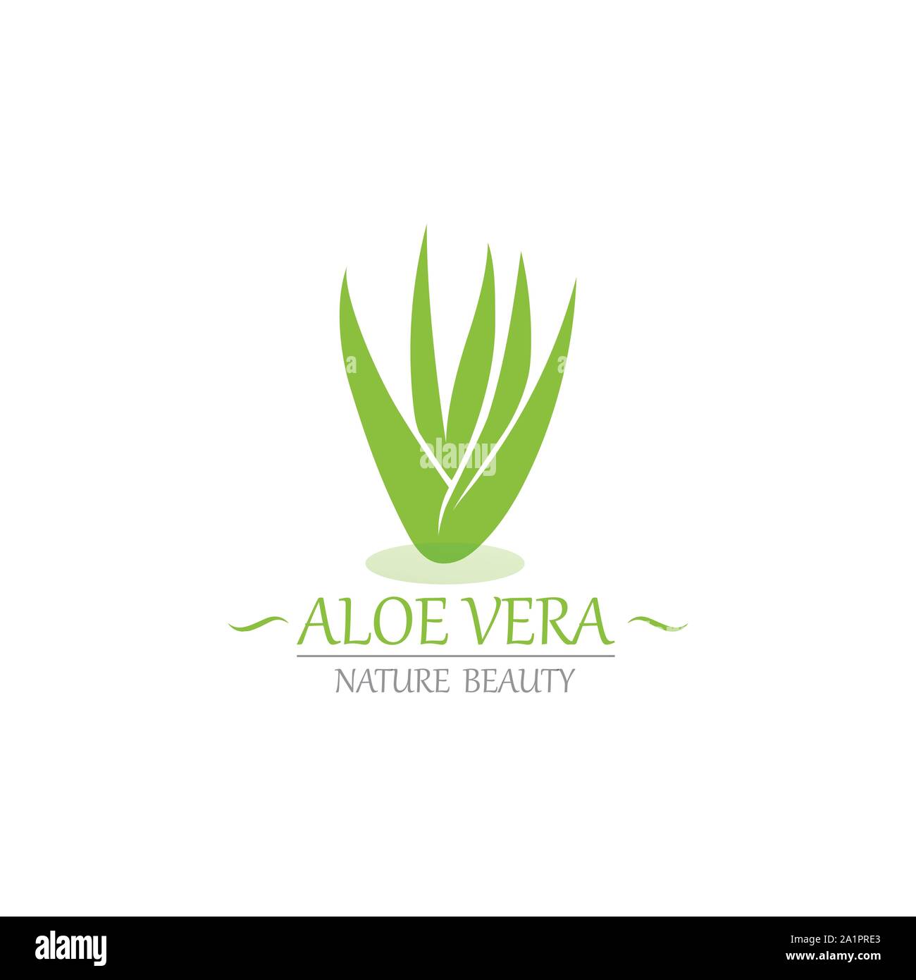 Aloe vera logo and symbol template vector Stock Vector Image & Art - Alamy