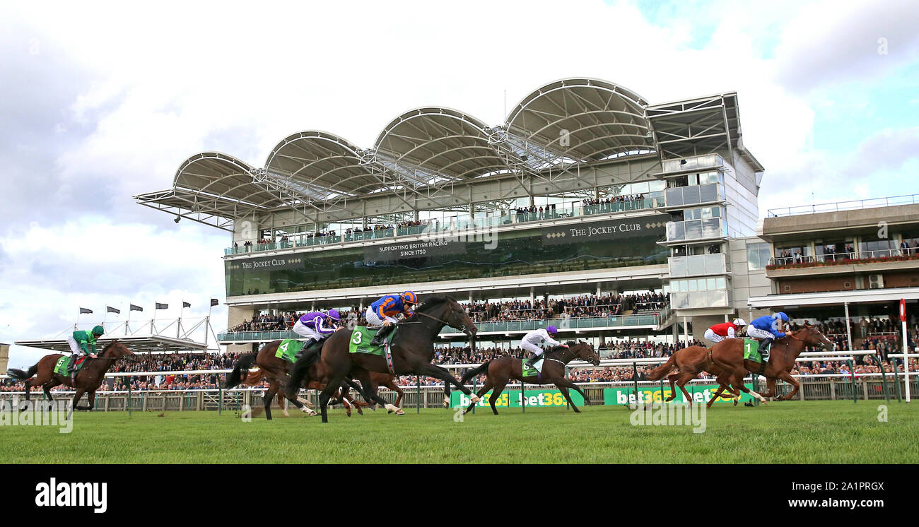 Earthlight horse hi-res stock photography and images - Alamy