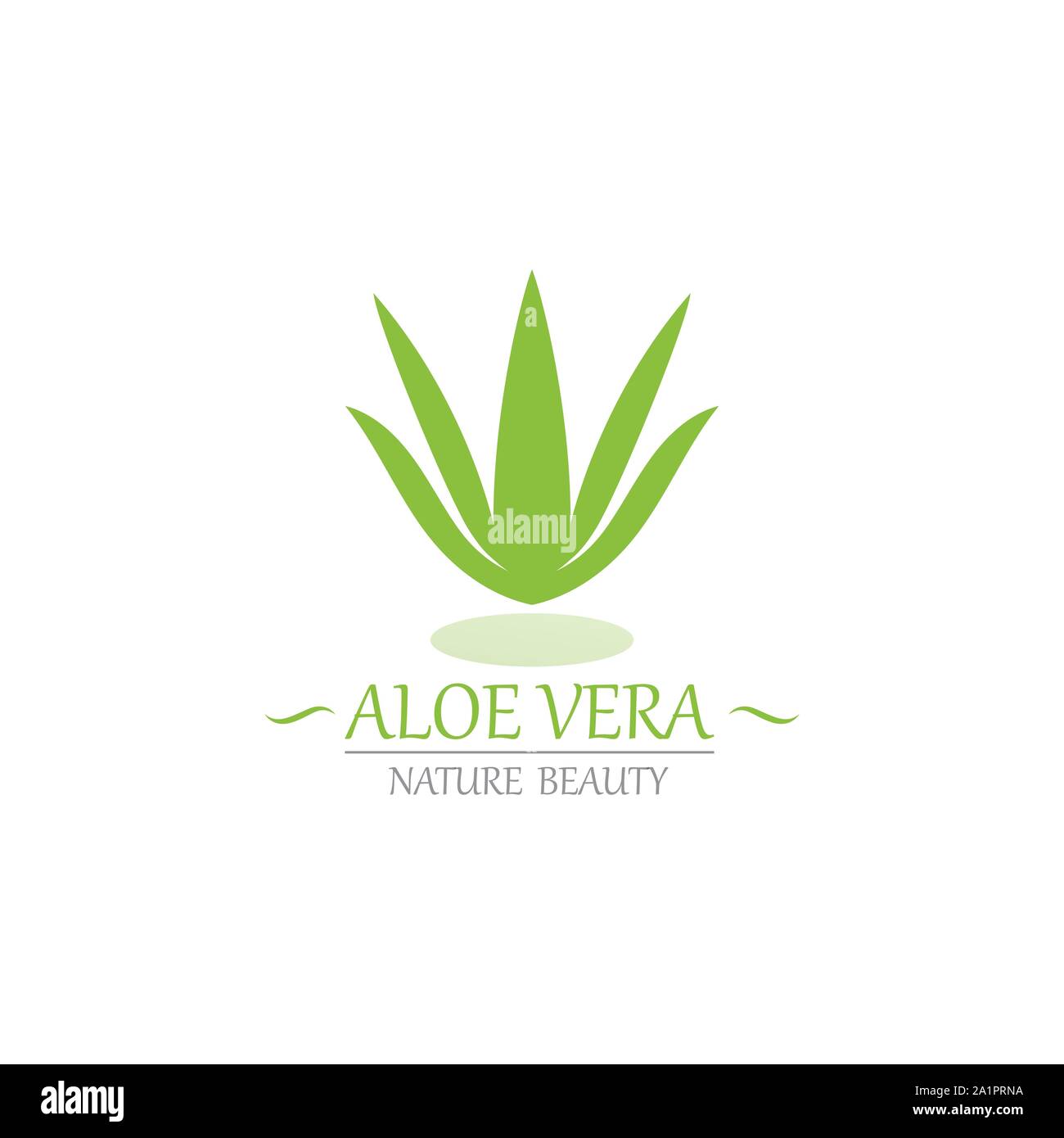 Aloe vera logo and symbol template vector Stock Vector Image & Art - Alamy