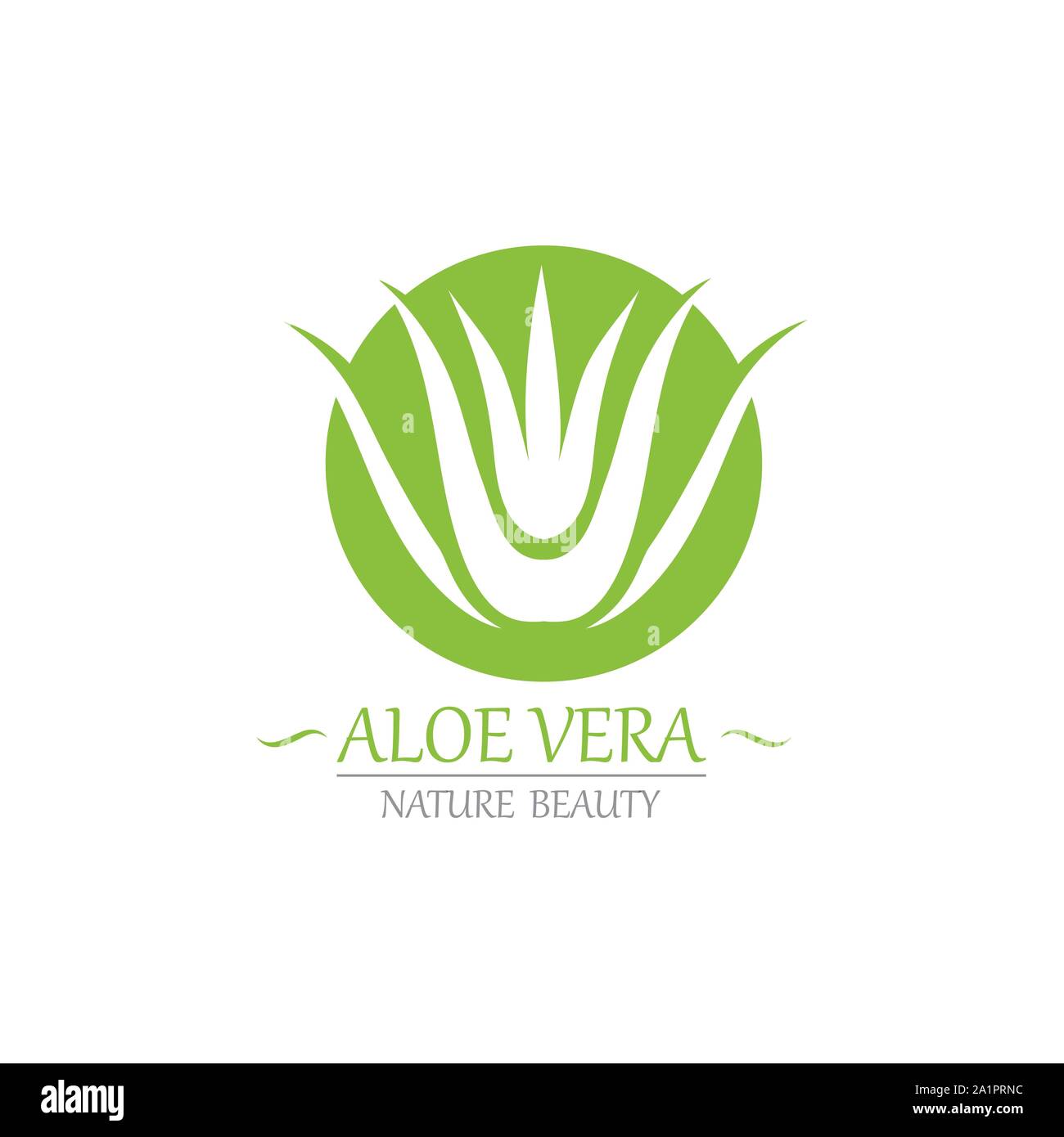Aloe vera logo and symbol template vector Stock Vector Image & Art - Alamy