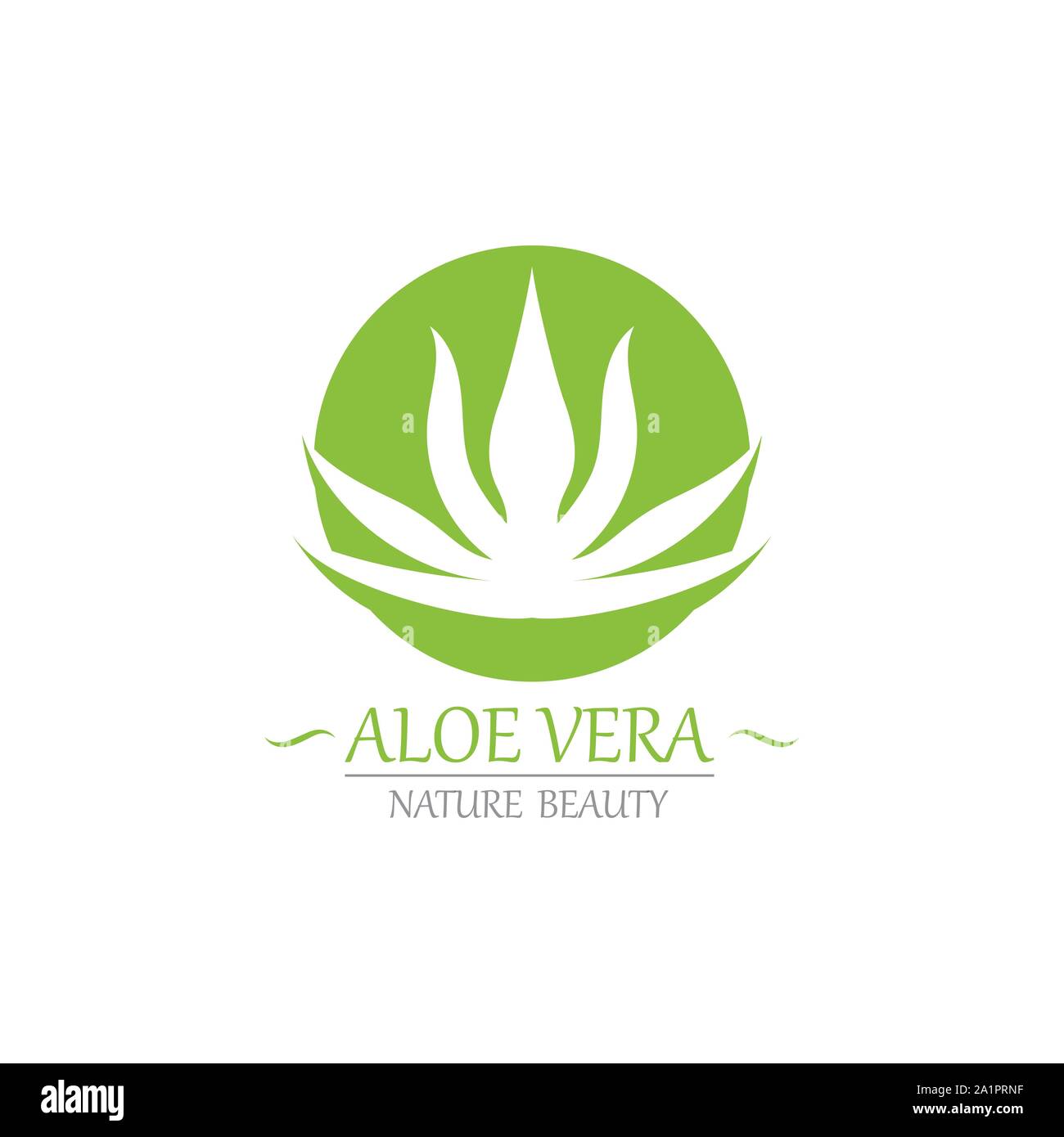 Aloe vera logo and symbol template vector Stock Vector Image & Art - Alamy