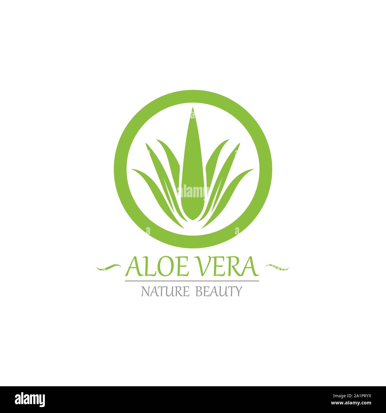 Aloe vera logo and symbol template vector Stock Vector Image & Art - Alamy