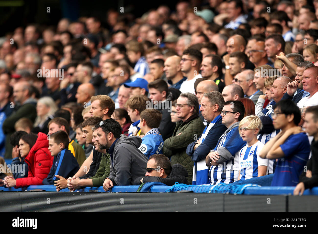 Brighton and Hove Albion fans during the Premier League match at ...