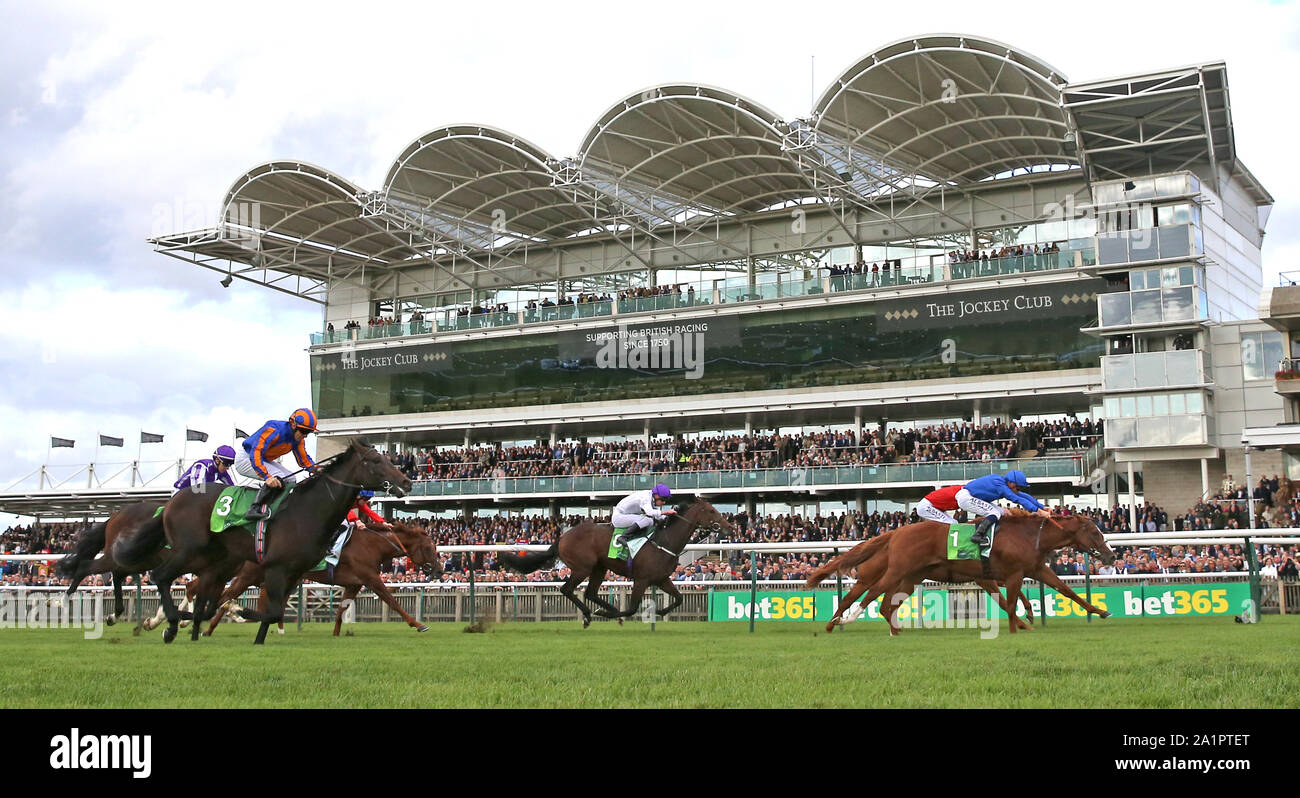 Earthlight horse hi-res stock photography and images - Alamy