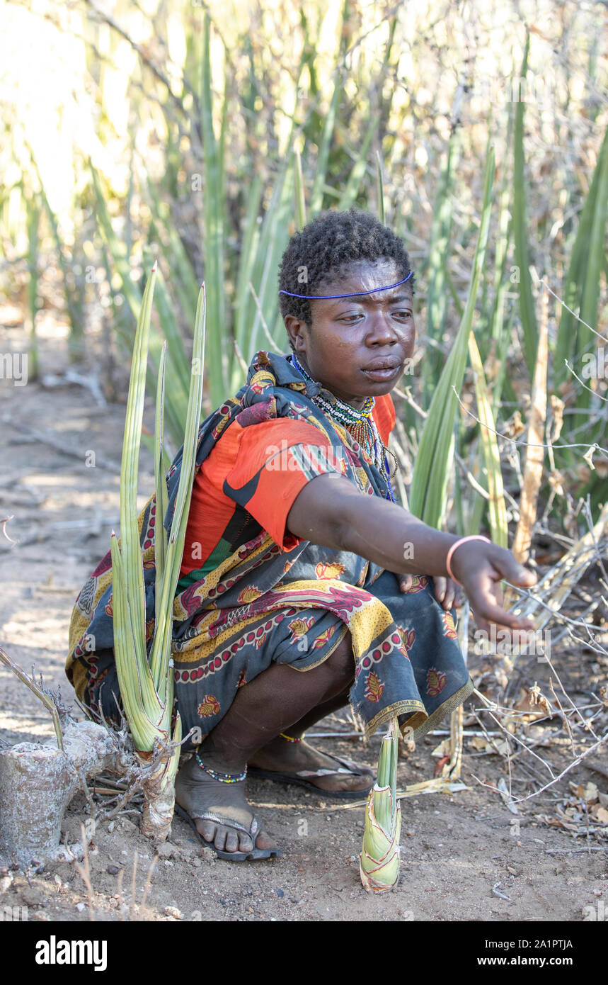 lake Eyasi, Tanzania, 11th September 2019: hadzabe woman in a nature to ...