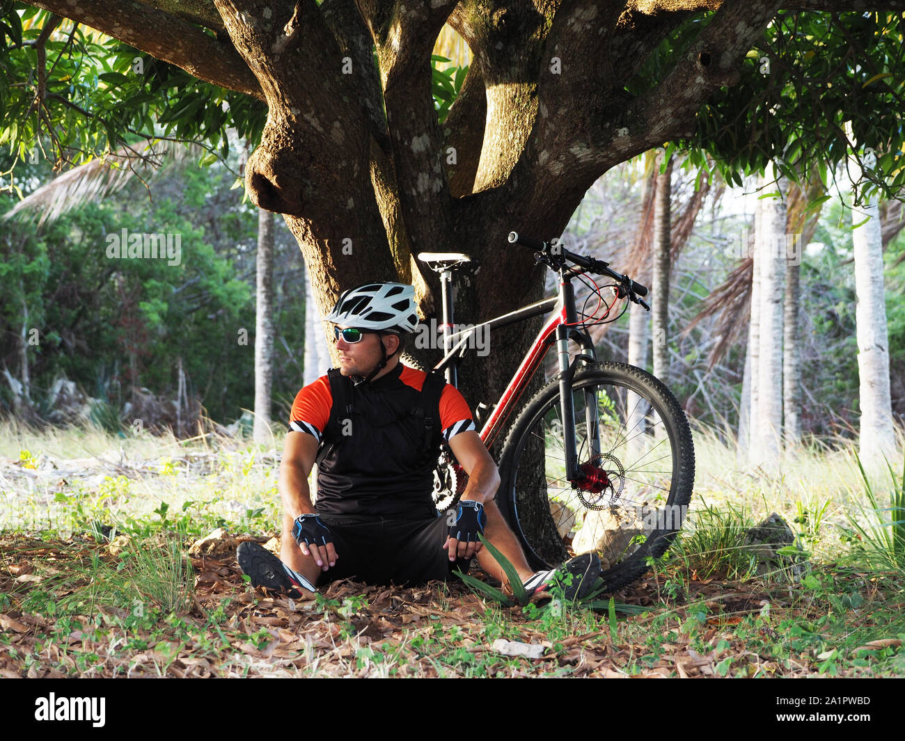 Man resting under tree hi-res stock photography and images - Alamy