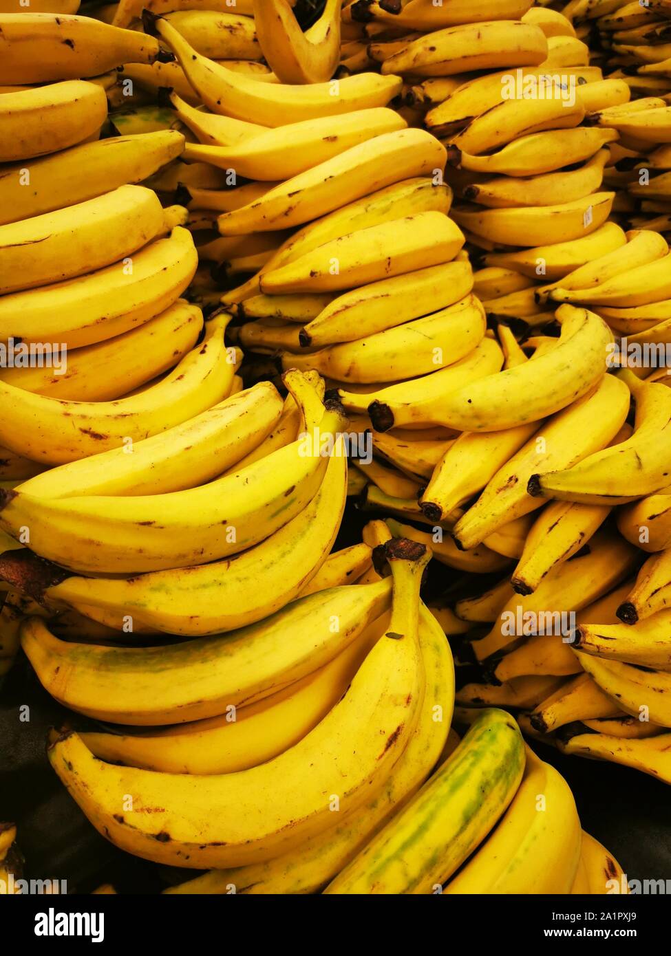 Non GMO Raw Organic Bunch of Bananas stacked Ready to Eat Stock Photo ...