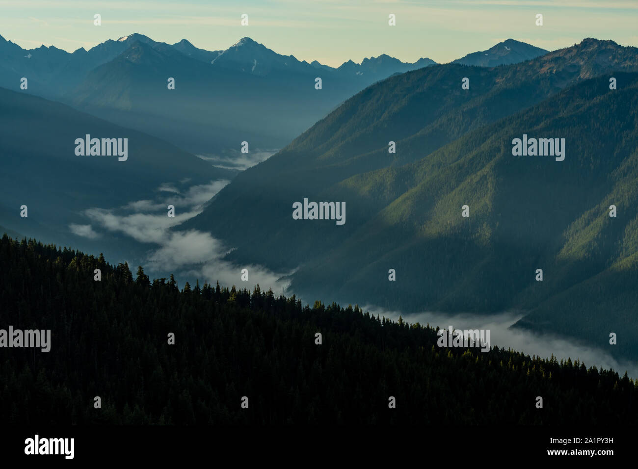 Hoh valley hi-res stock photography and images - Alamy