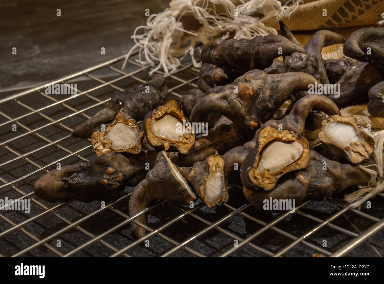 Water caltrop on a black background, Water Chestnut, Trapa natans Stock ...