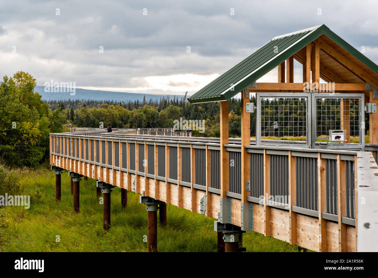 Bear viewing bridge hi-res stock photography and images - Alamy