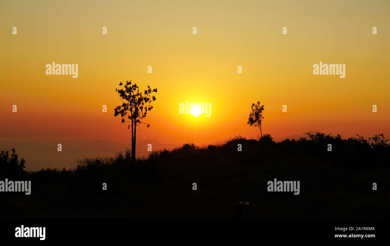 Sunset between trees Stock Photo - Alamy