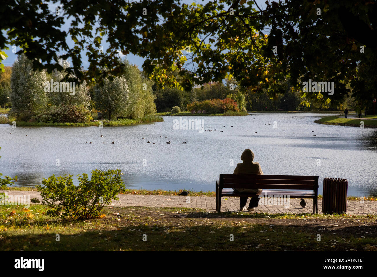 Bench overlooking pond hi-res stock photography and images - Alamy