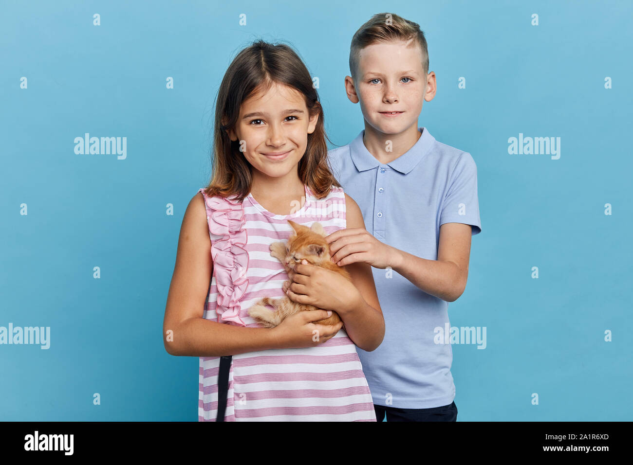 kind children help sick animals, friendly children going to take cat in ...