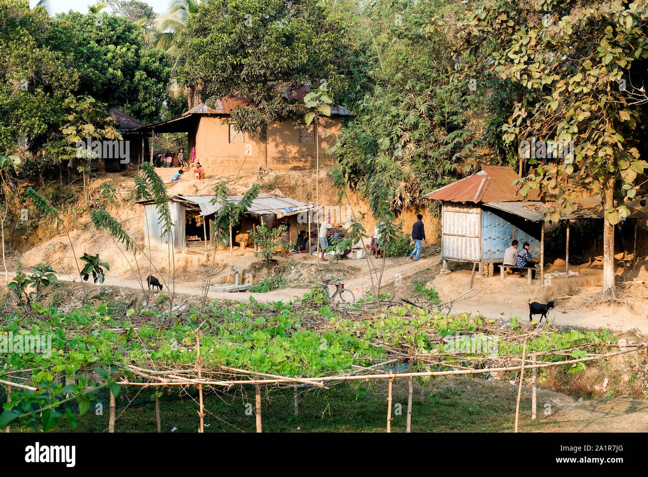 Village scenery india hi-res stock photography and images - Alamy