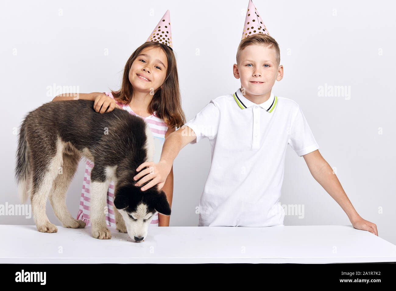 two children and pet having a party, close up photo. isolated white ...