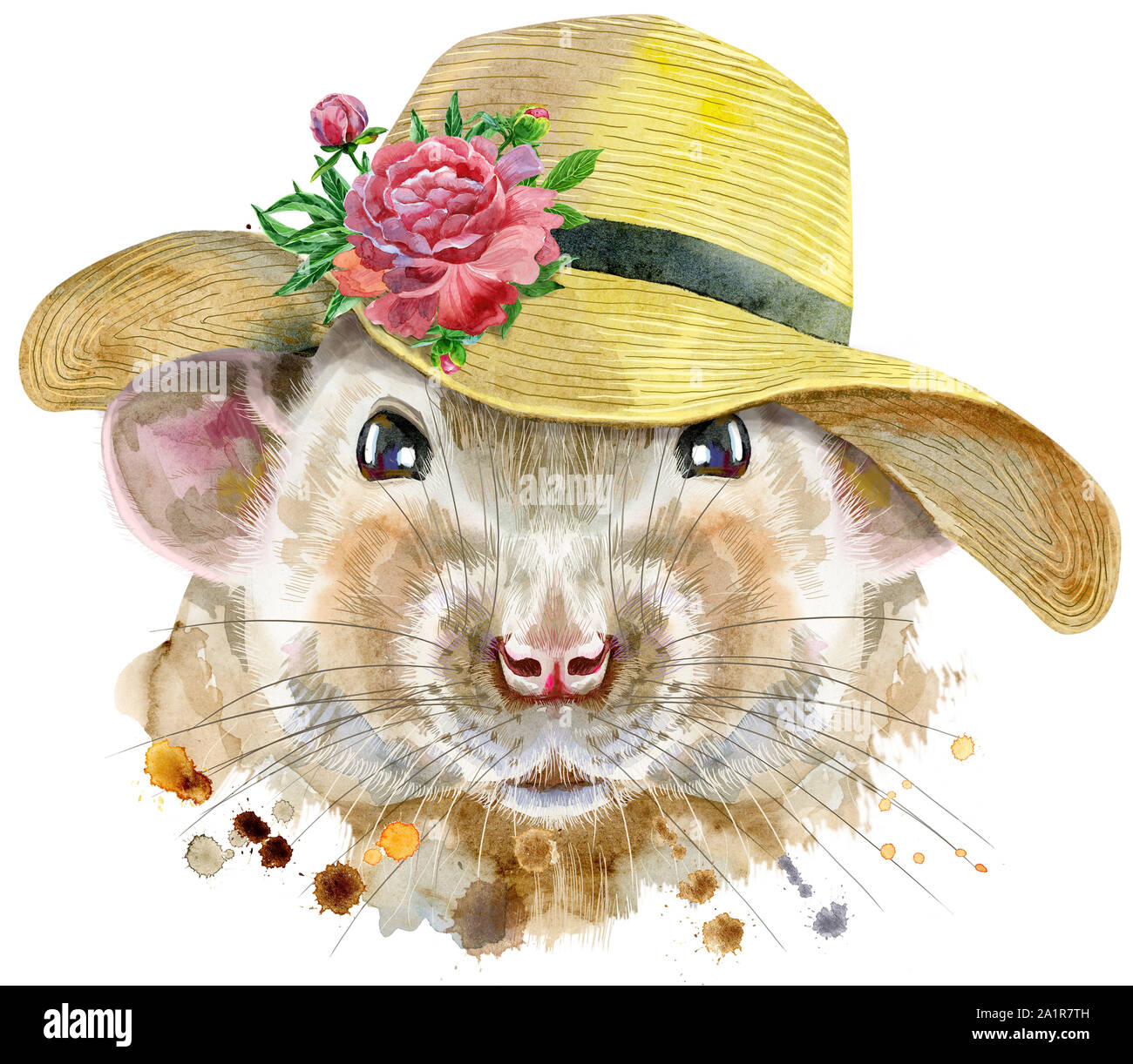 Watercolor portrait of rat with a wide-brimmed summer hat Stock Photo ...