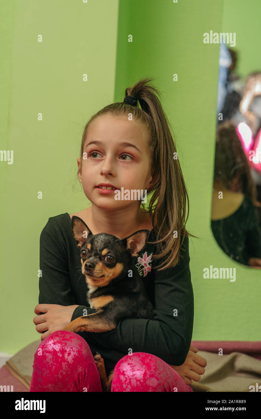 Cute dog chihuahua. Girl and chihuahua. The little girl left gymnastics ...