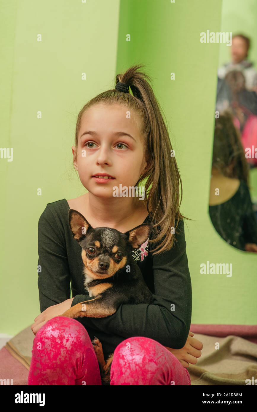 Cute dog chihuahua. Girl and chihuahua. The little girl left gymnastics ...