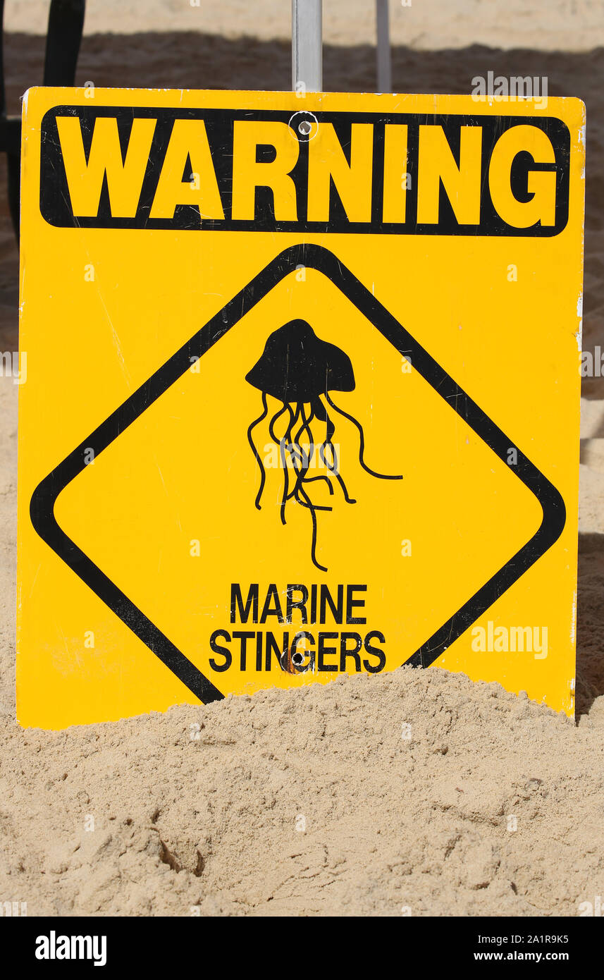 Popular beaches on the Sunshine Coast in Queensland are patrolled by ...