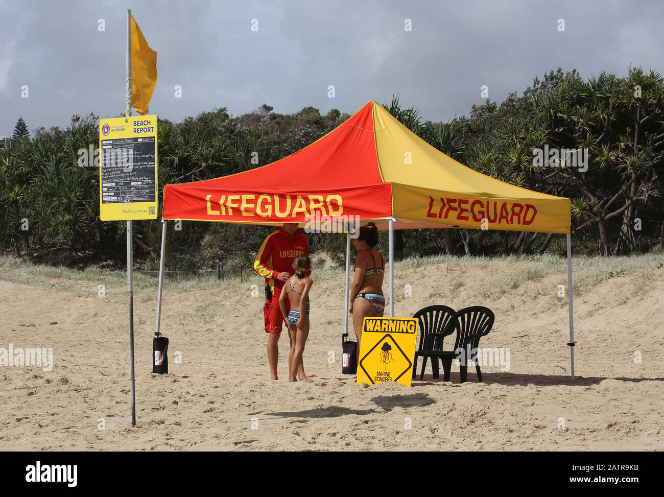 Popular beaches on the Sunshine Coast in Queensland are patrolled by ...