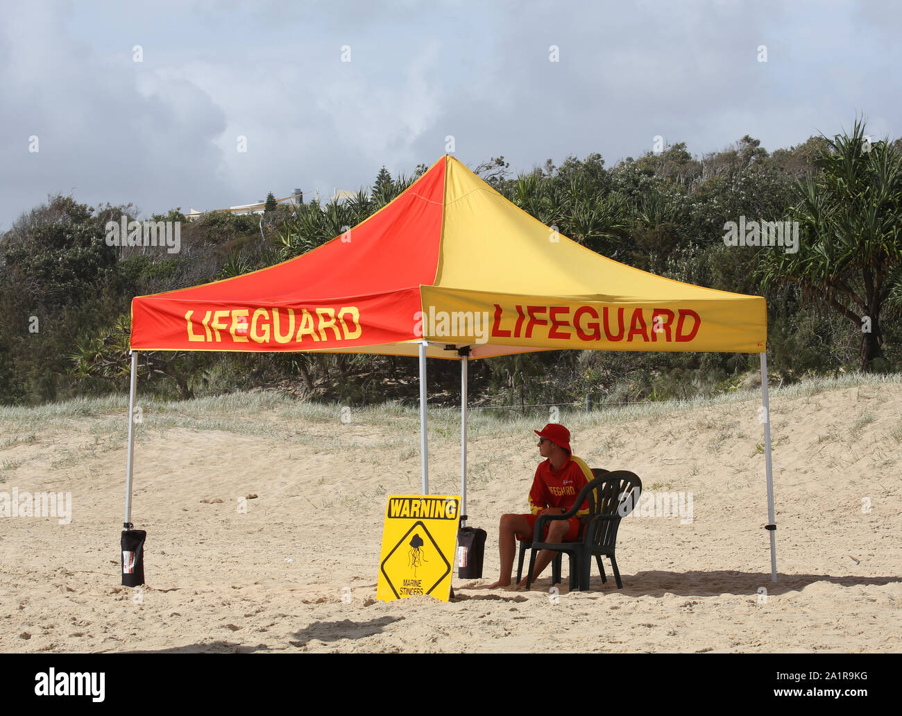 Popular beaches on the Sunshine Coast in Queensland are patrolled by ...