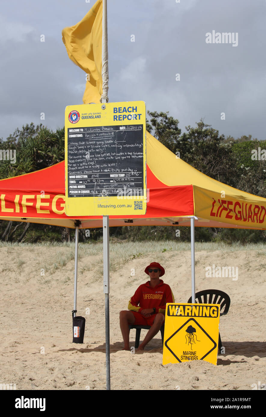 Popular beaches on the Sunshine Coast in Queensland are patrolled by ...