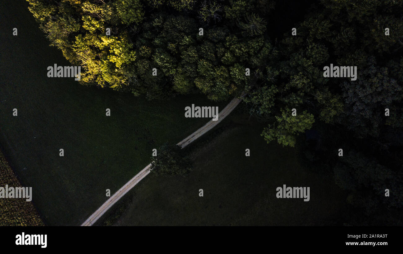 Aerial perspective of tree tops hi-res stock photography and images - Alamy