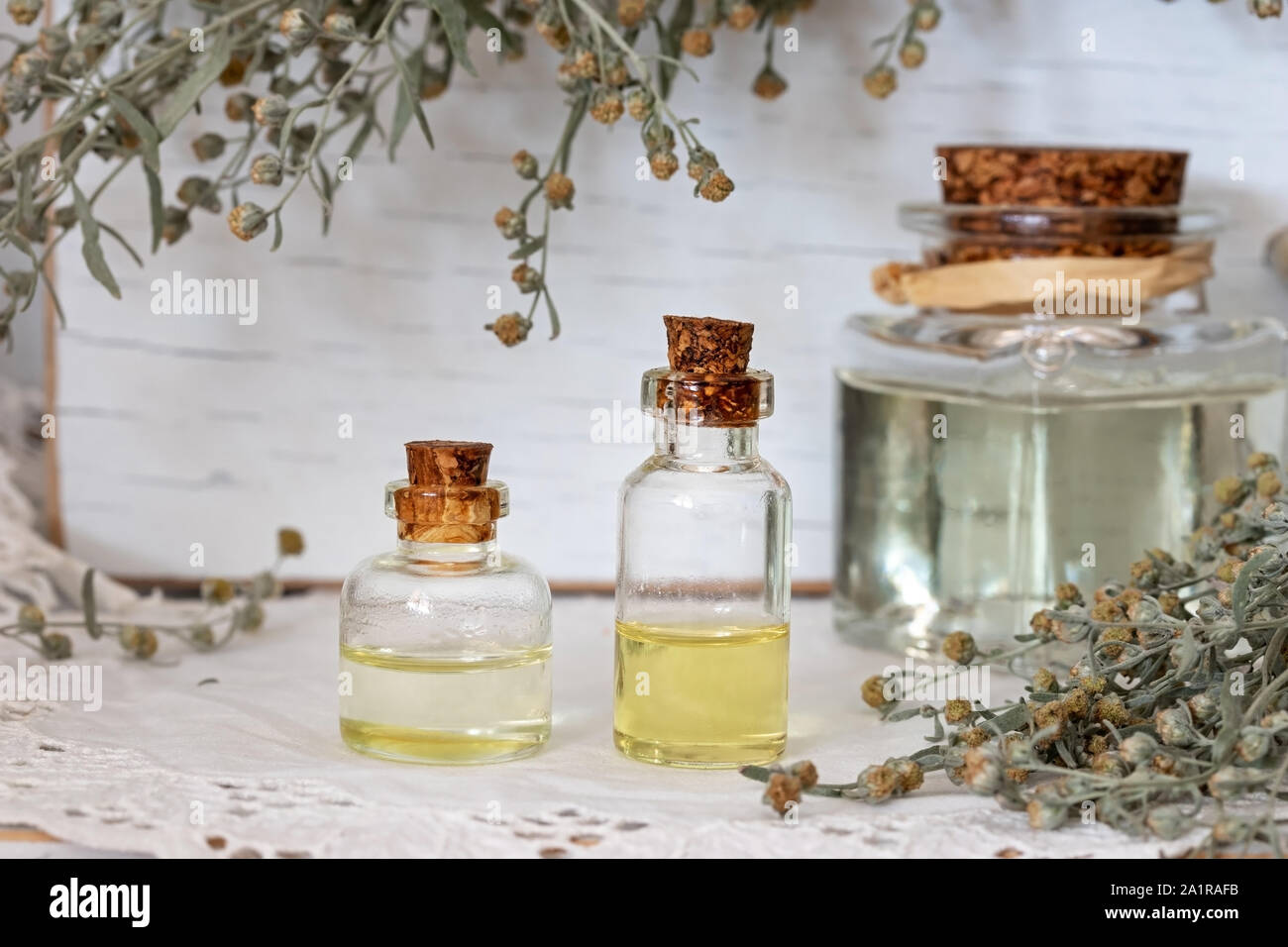 Bottles of essential oil with fresh blooming wormwood, or Artemisia ...