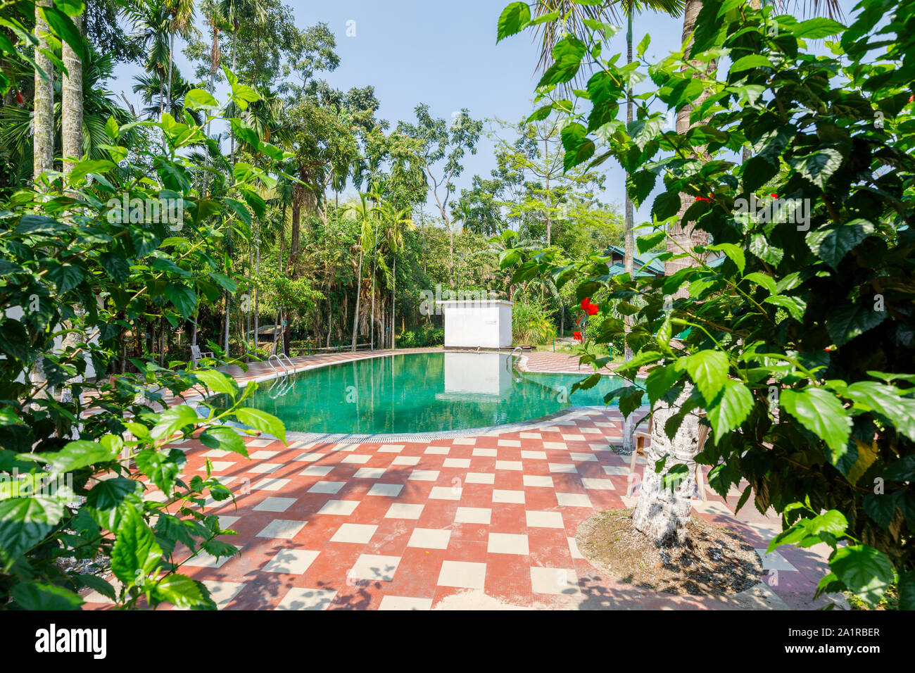Indian swimming pool hi-res stock photography and images - Alamy