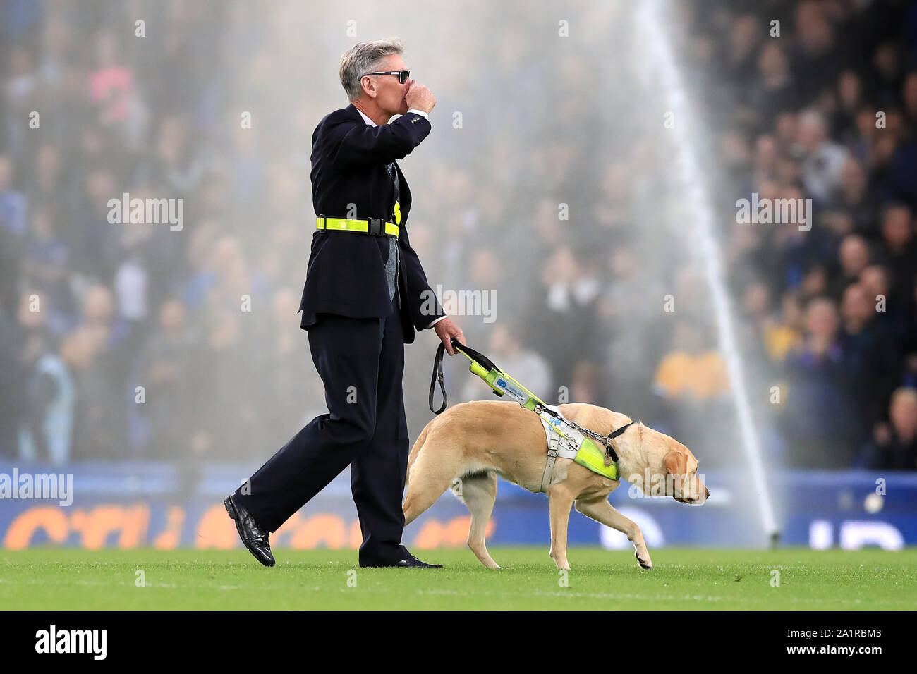 Guide dog hannah hi-res stock photography and images - Alamy