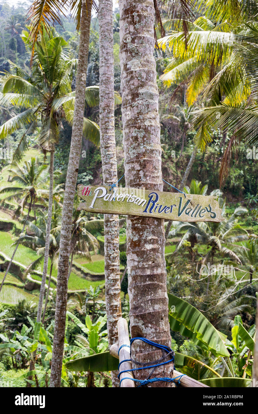 Padi Field, Gunung Kawi, Bali, Indonesia pakerisan river valley sign ...