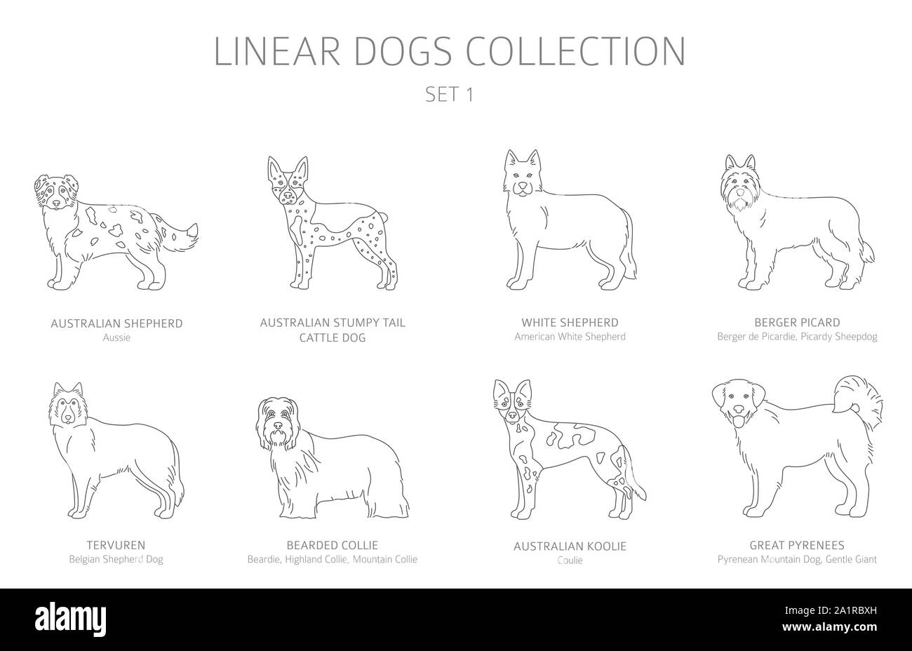 Highland collie Stock Vector Images - Alamy