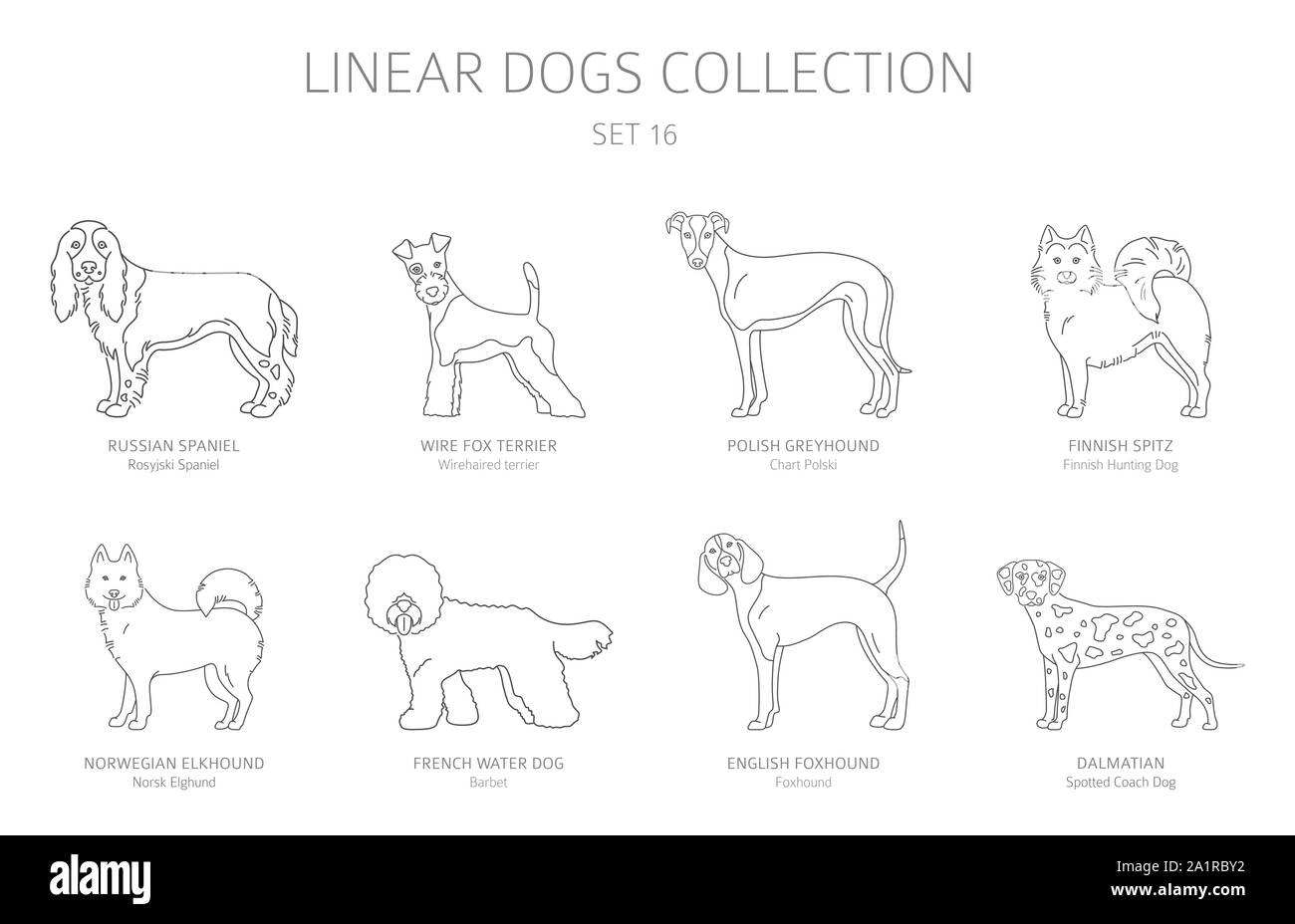 Simple line dogs collection isolated on white. Dog breeds. Flat style ...