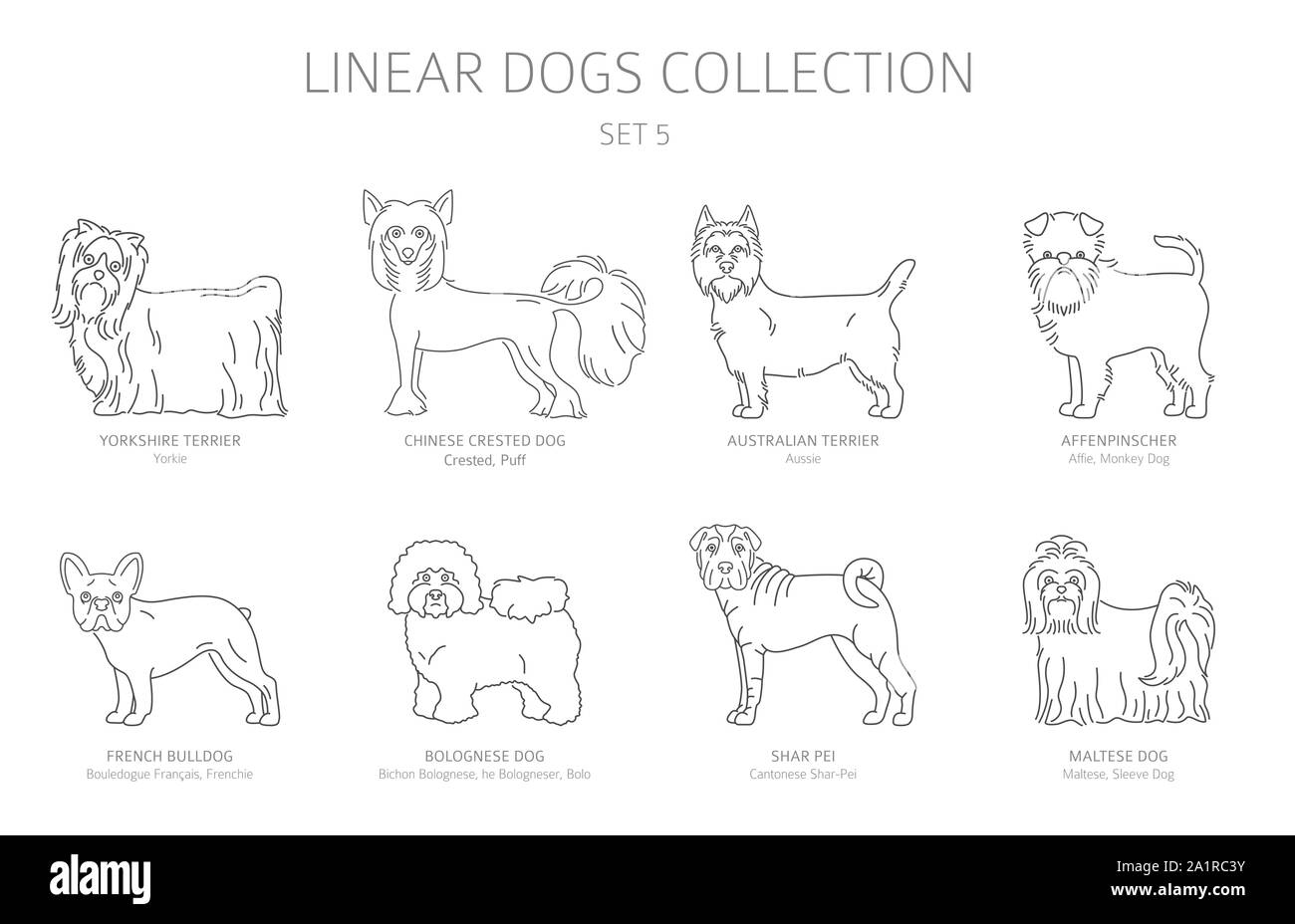 Chinese crested puppy Stock Vector Images - Alamy